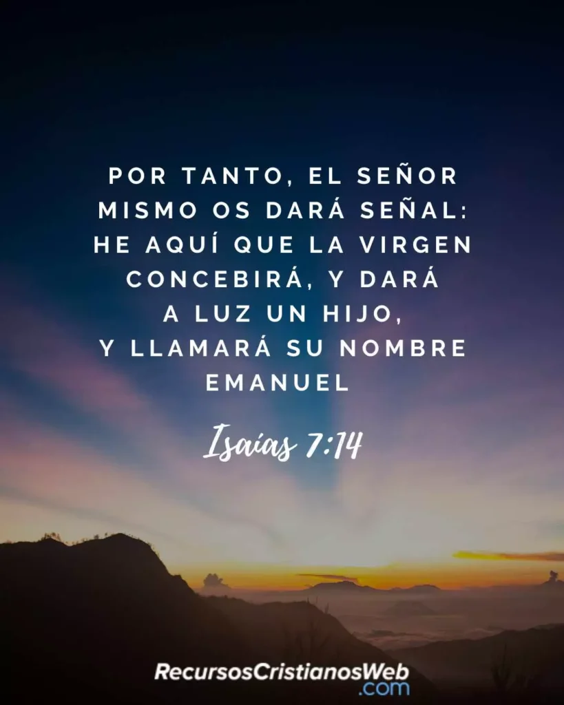 Guía completa de textos bíblicos para recién convertidos: fortaleciendo ...