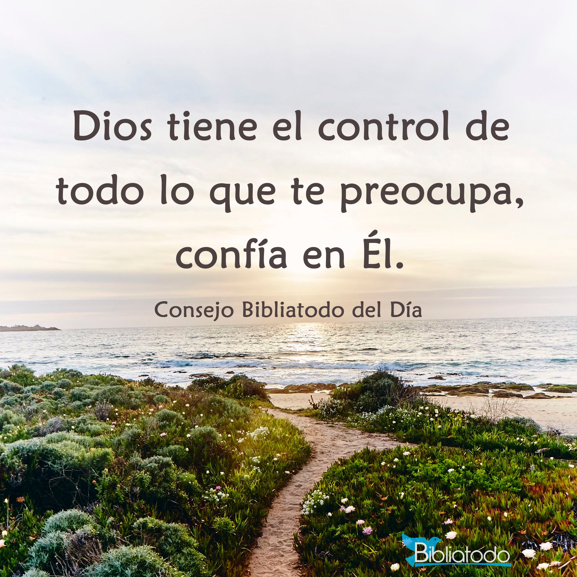 Dios tiene el control: Un análisis profundo del texto bíblico | textos ...