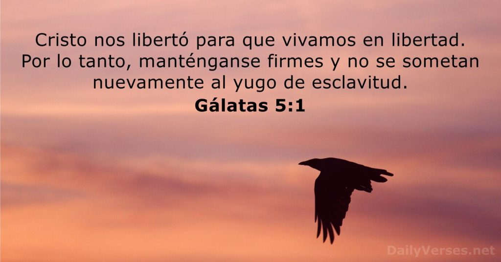Libre soy: un texto bíblico que habla de la libertad en Cristo | textos ...