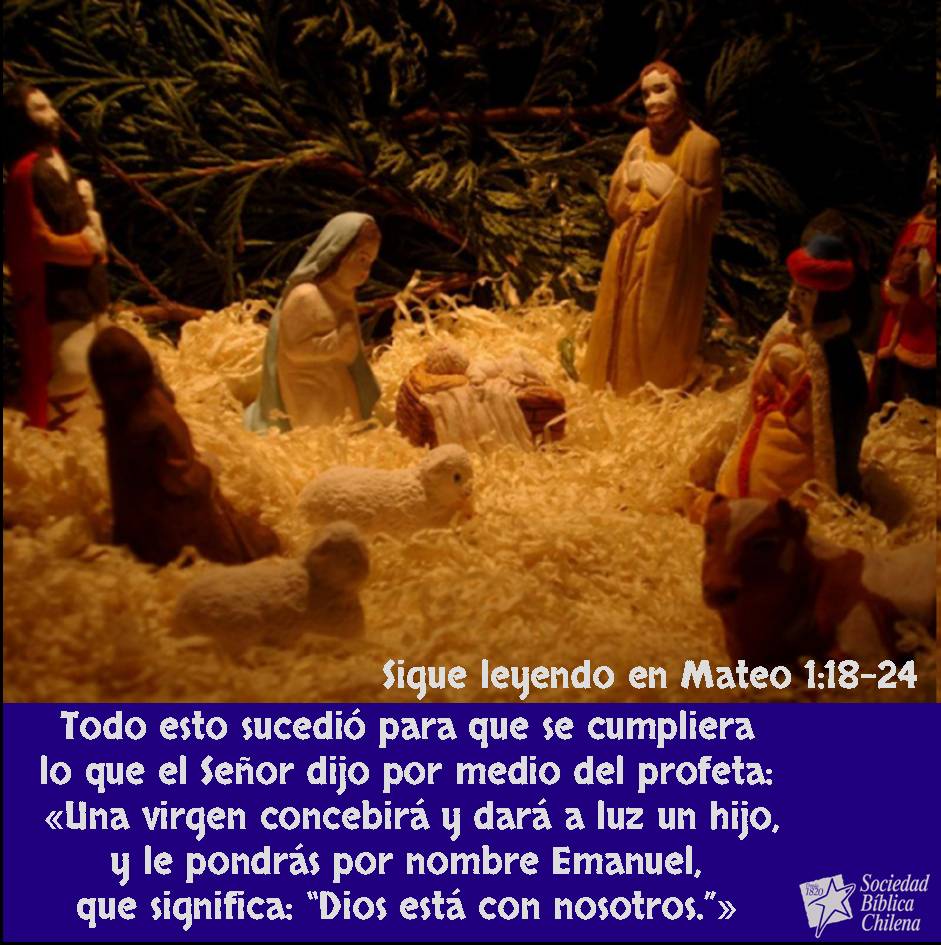 El emocionante relato del nacimiento de Jesús en la Biblia Católica: Un ...
